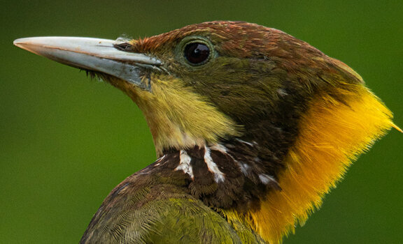 #1 Online Photography Courses